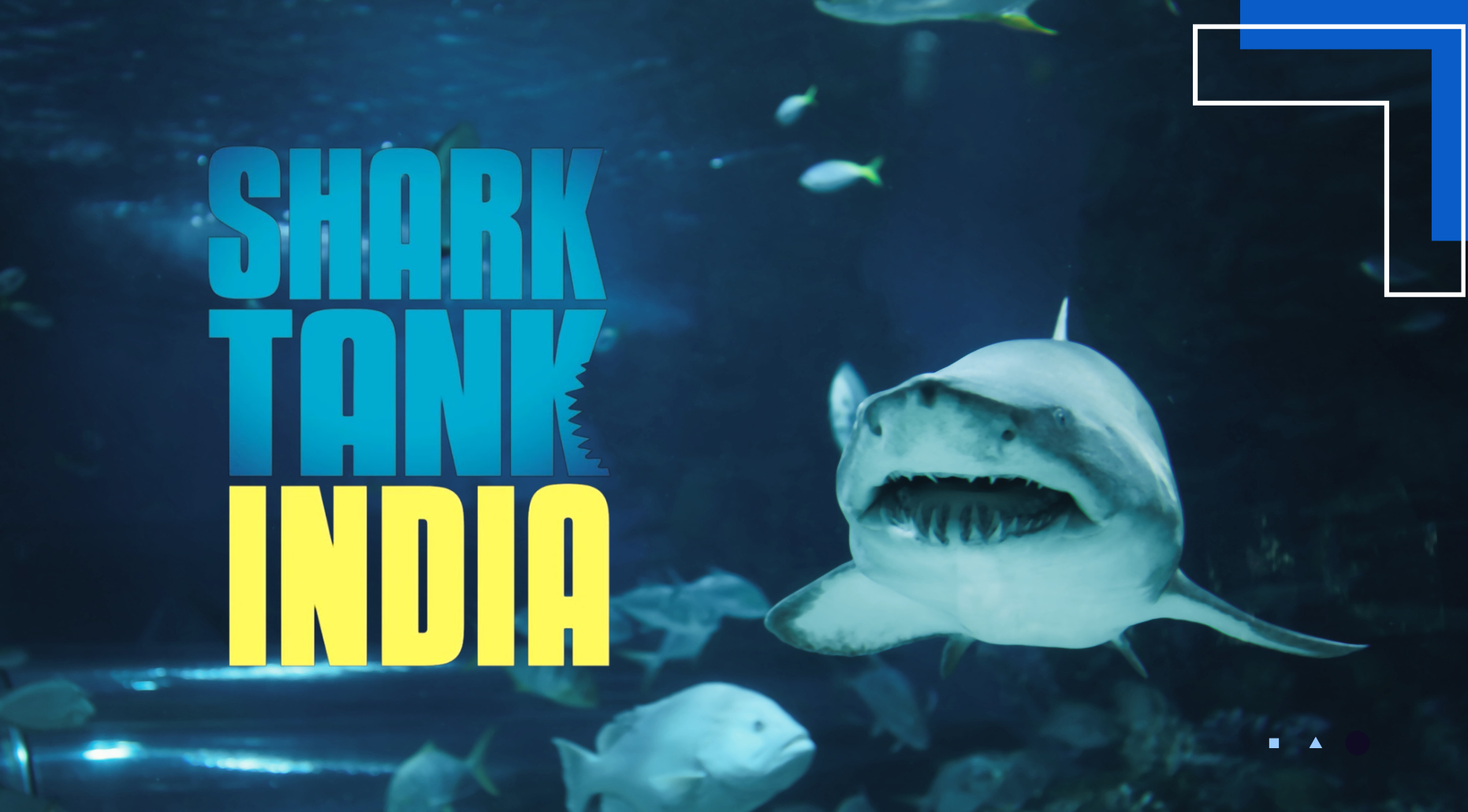 Commonly Asked Shark Tank India Questions: Answered - Blog